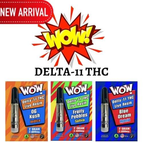 WOW DELTA-11 THC LIVE RESIN 2G 2000MG – mk57 vape